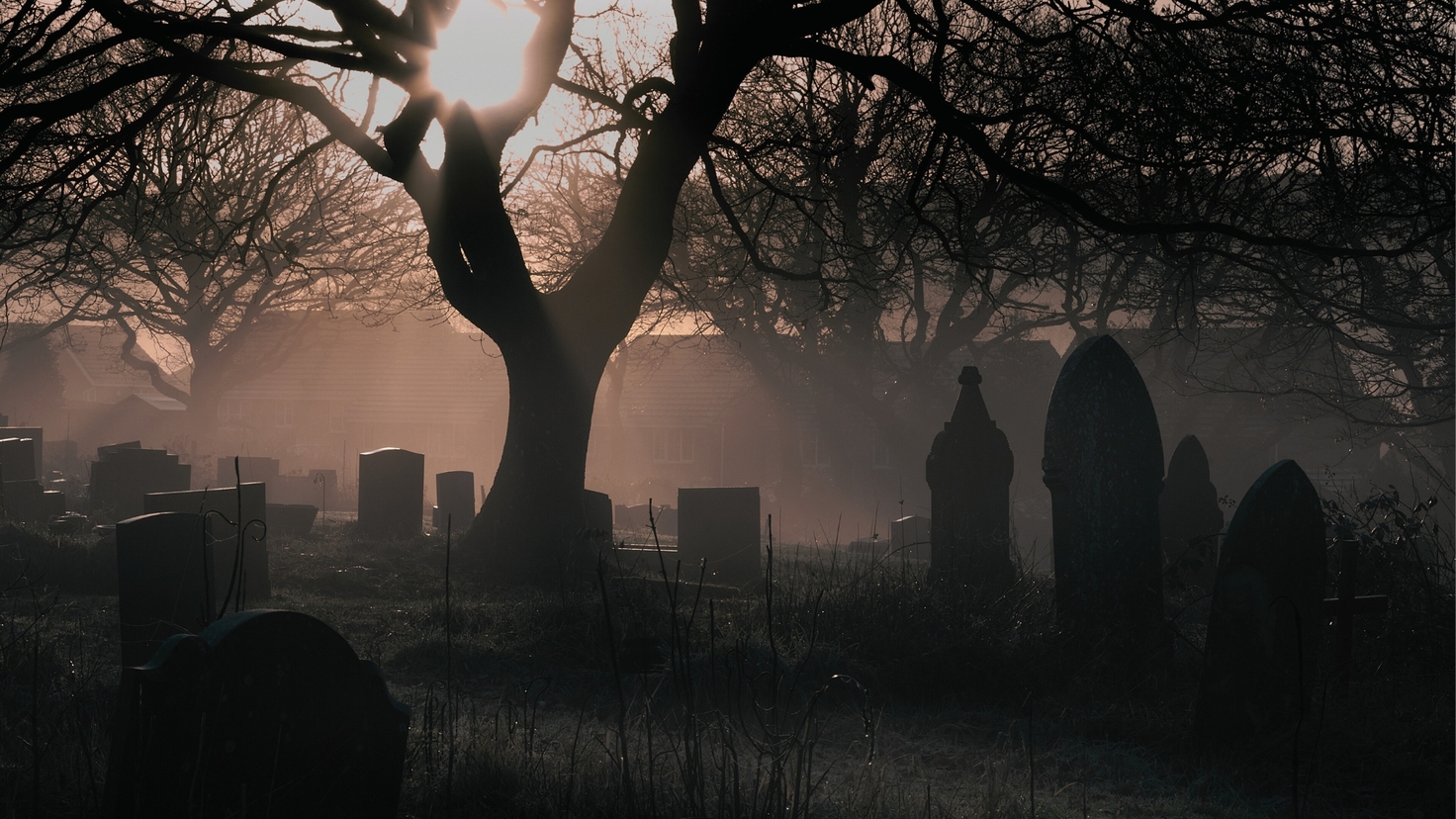 If all must die once, what about believers alive at the Rapture ...