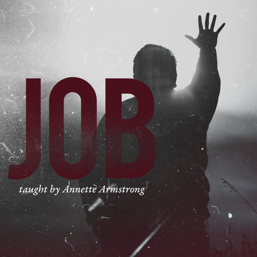 2 Samuel - Lesson 23B | Verse By Verse Ministry International