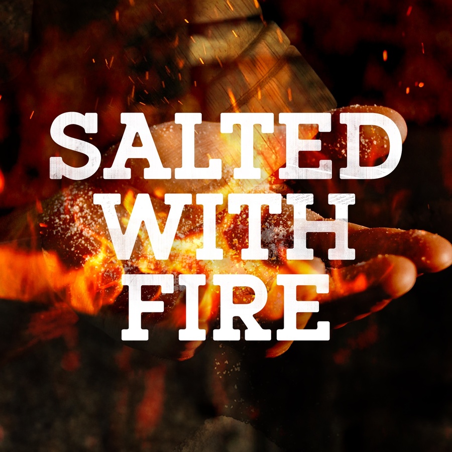 Mark - Lesson 10C | Verse By Verse Ministry International