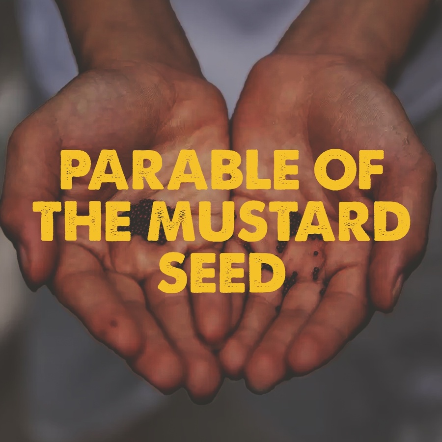 Verse By Verse Ministry International