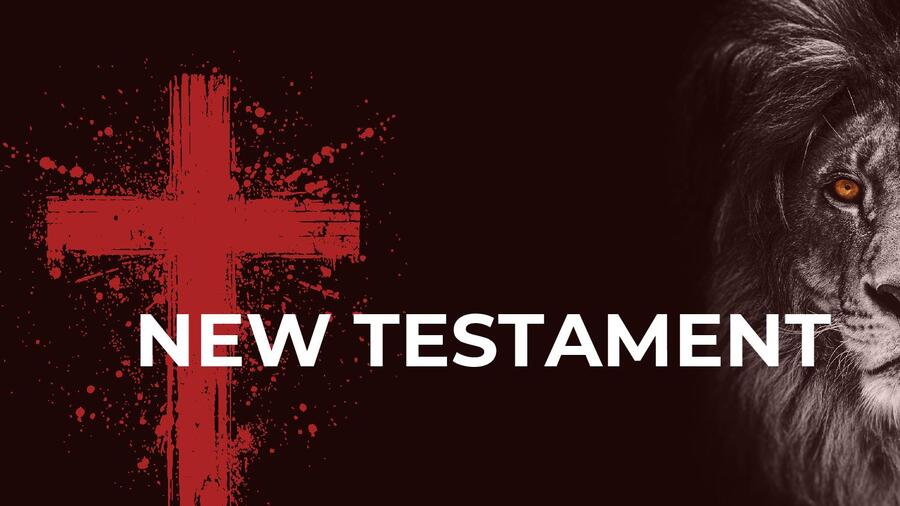 Verse By Verse Ministry International