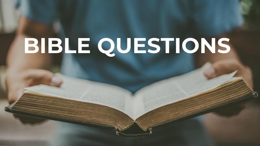 Verse By Verse Ministry International